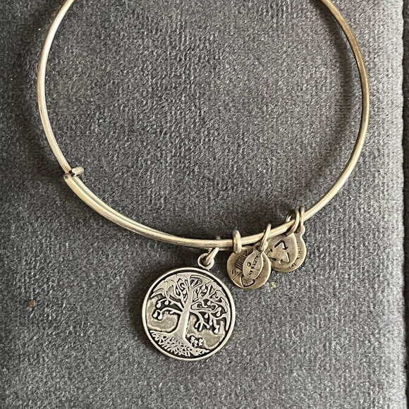 Alex and Ani | Jewelry | Alex And Ani Tree Of Life Bangle | Poshmark